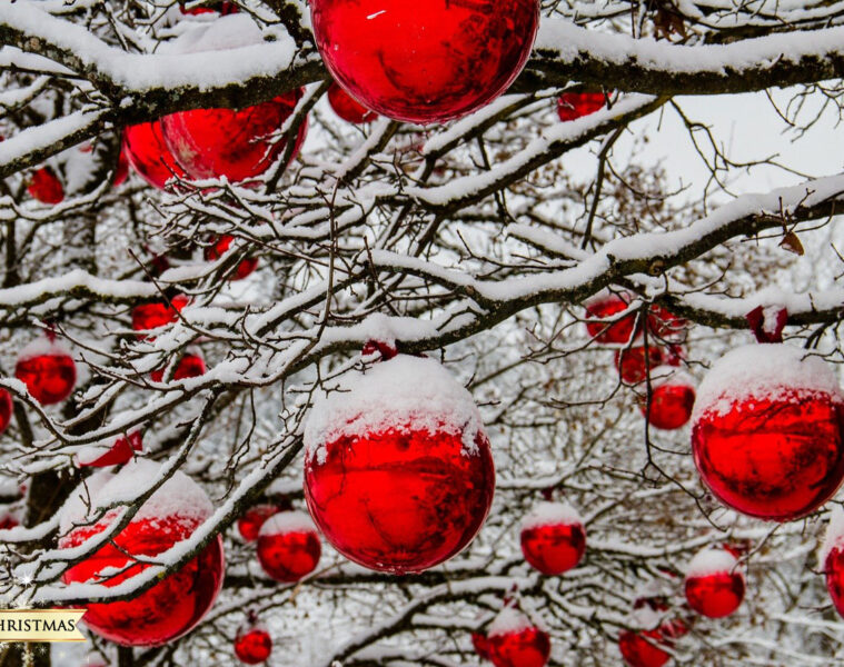 One Inch Tall by Shel Silverstein at Spillwords.com