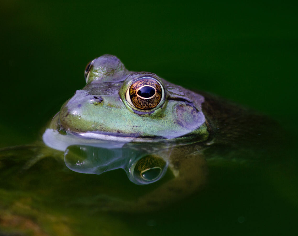 STORM written by Stanley Wilkin at Spillwords.com