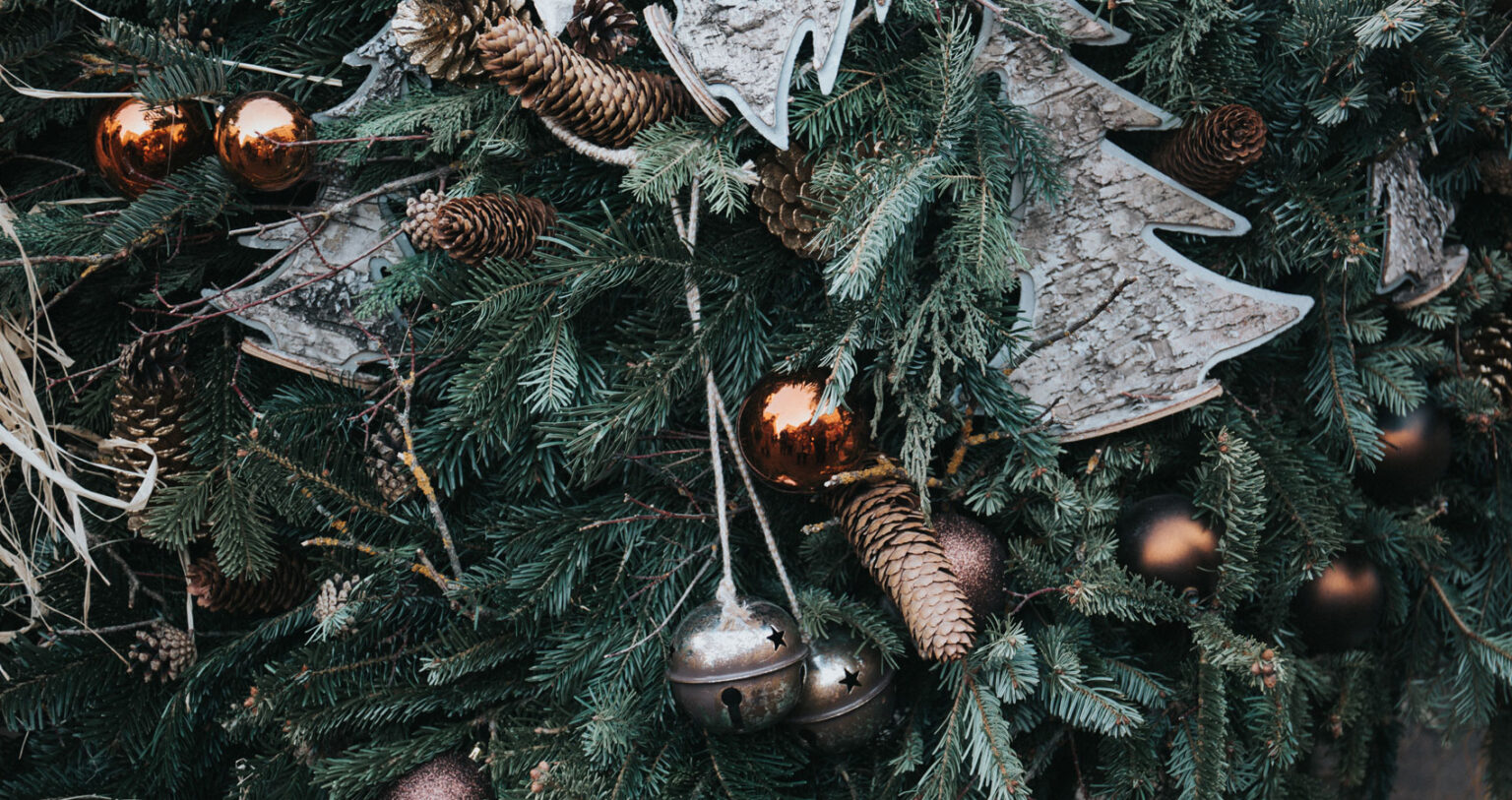 Ring Out, Wild Bells, a poem by Alfred Lord Tennyson at Spillwords.com