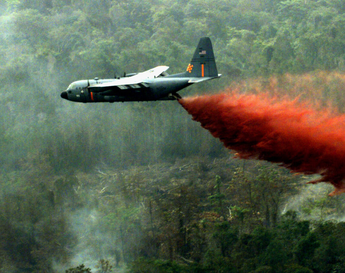 Life Game by Grace Zwane at Spillwords.com