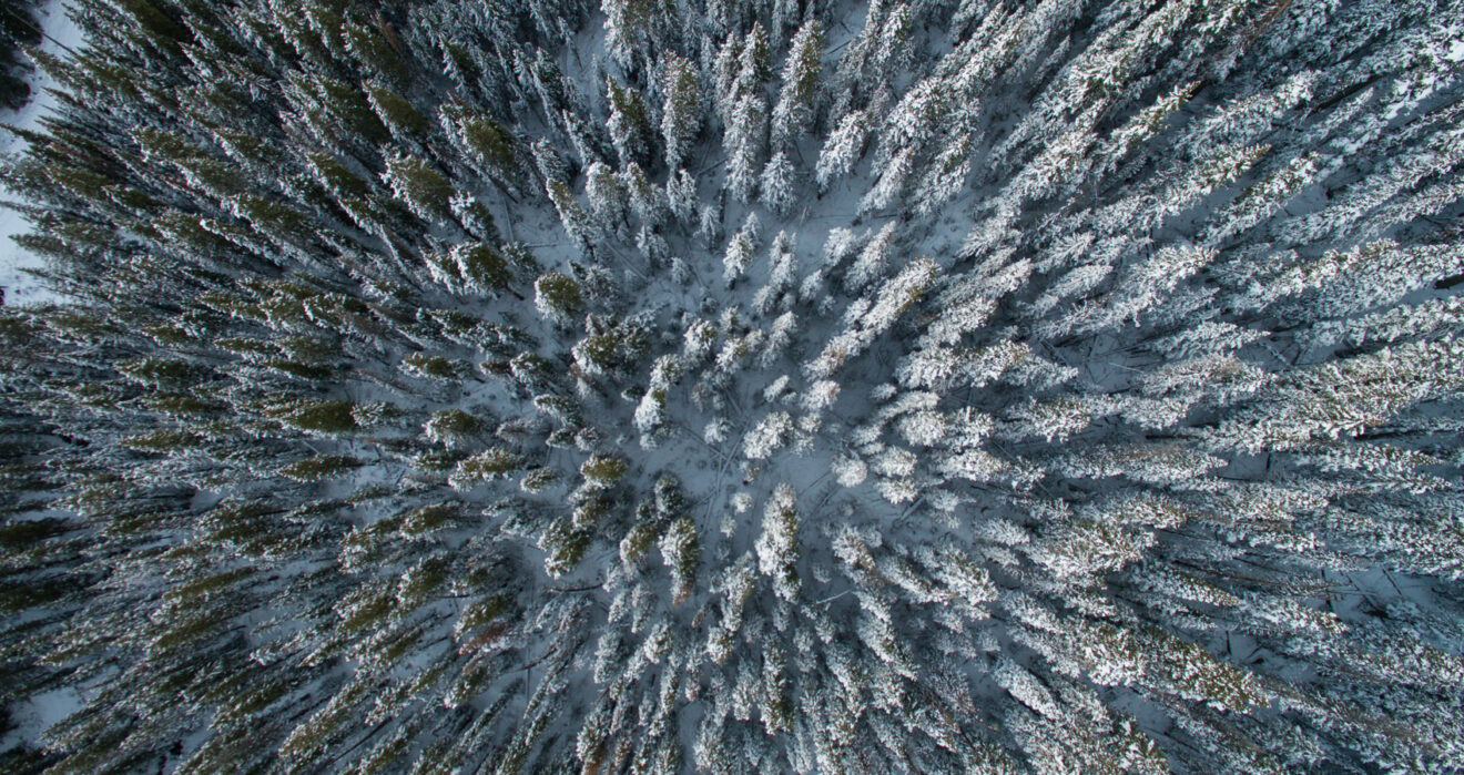 Perspective, a haiku written by Archit Joshi at Spillwords.com