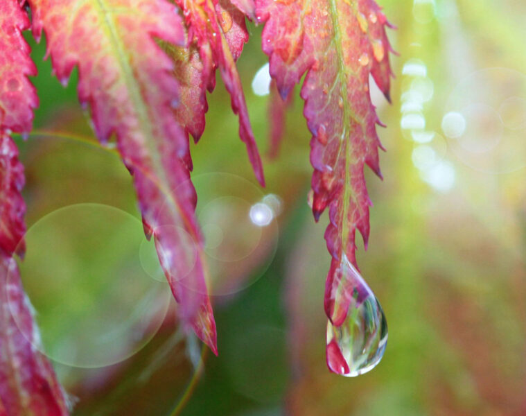 This skimming light by Hanno Cramer at Spillwords.com