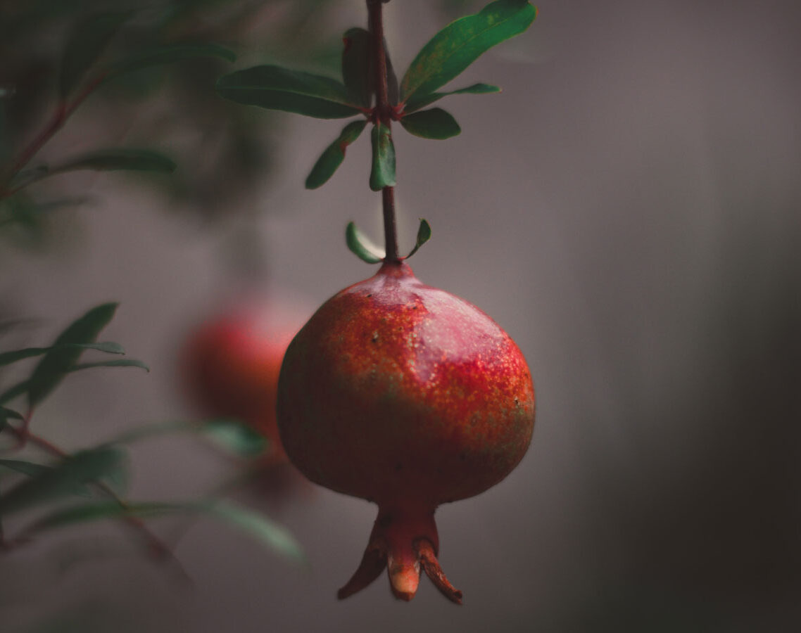 Eruption at spillwords.com