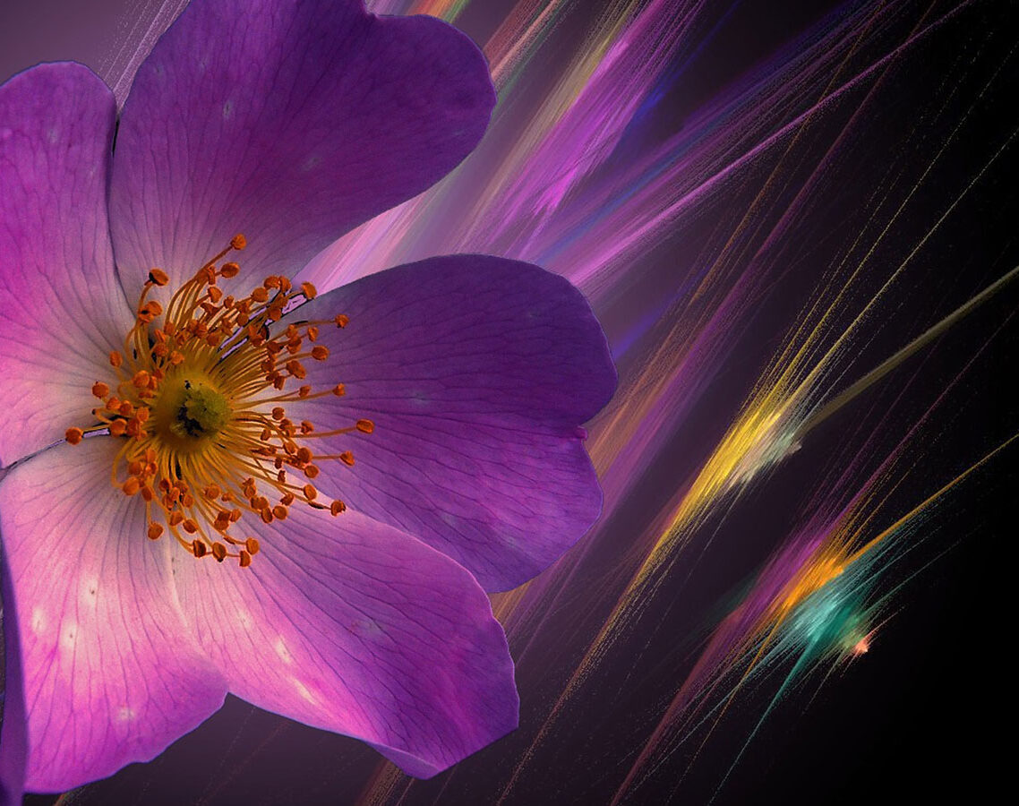 I Believe In Christmas, a poem written by Ivanka Fear at Spillwords.com