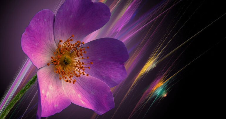 Sliver of Time, a poem written by Charlie Bottle at Spillwords.com