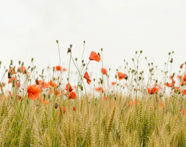 This skimming light by Hanno Cramer at Spillwords.com