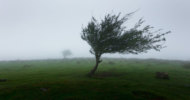 During Wind and Rain, a poem by Thomas Hardy at Spillwords.com