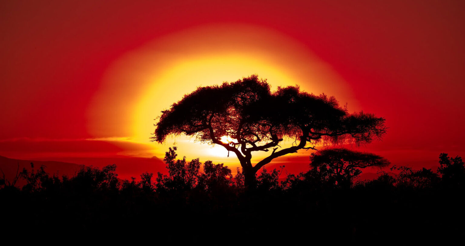 The End - Time Is Now, poem by Moses Y. Sonkarlay Jr at Spillwords.com