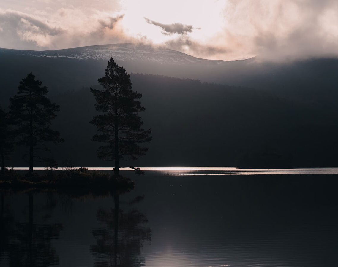 No For An Answer by Richard K. Ostrander at Spillwords.com