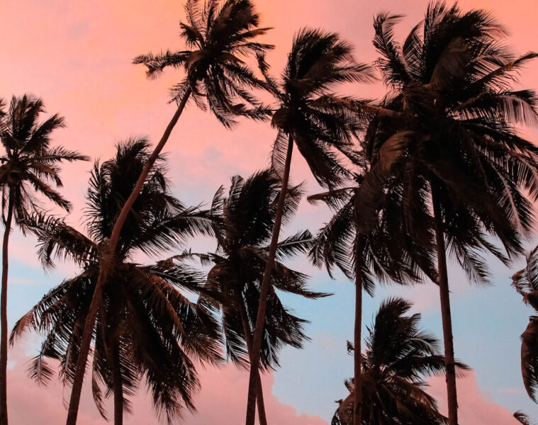 The Old Man, micropoetry by Timothy Resau at Spillwords.com