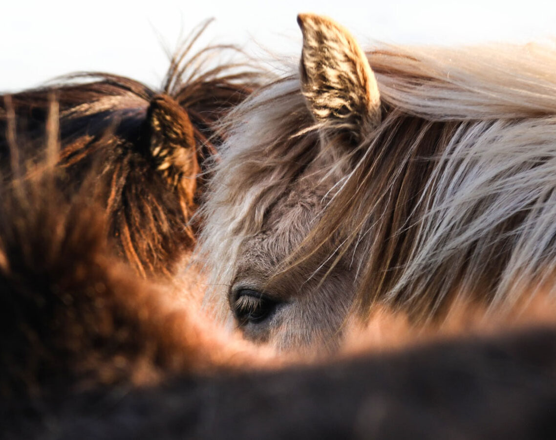 TFL Journey by Naima Mohamud Elmi at Spillwords.com
