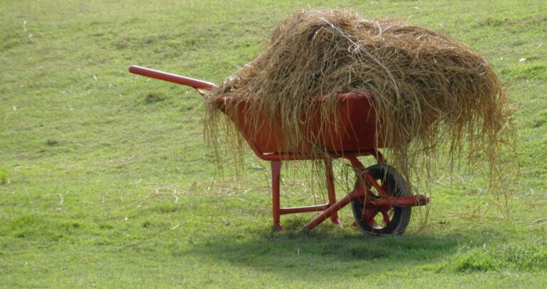 The Red Wheelbarrow by William Carlos Williams at Spillwords.com