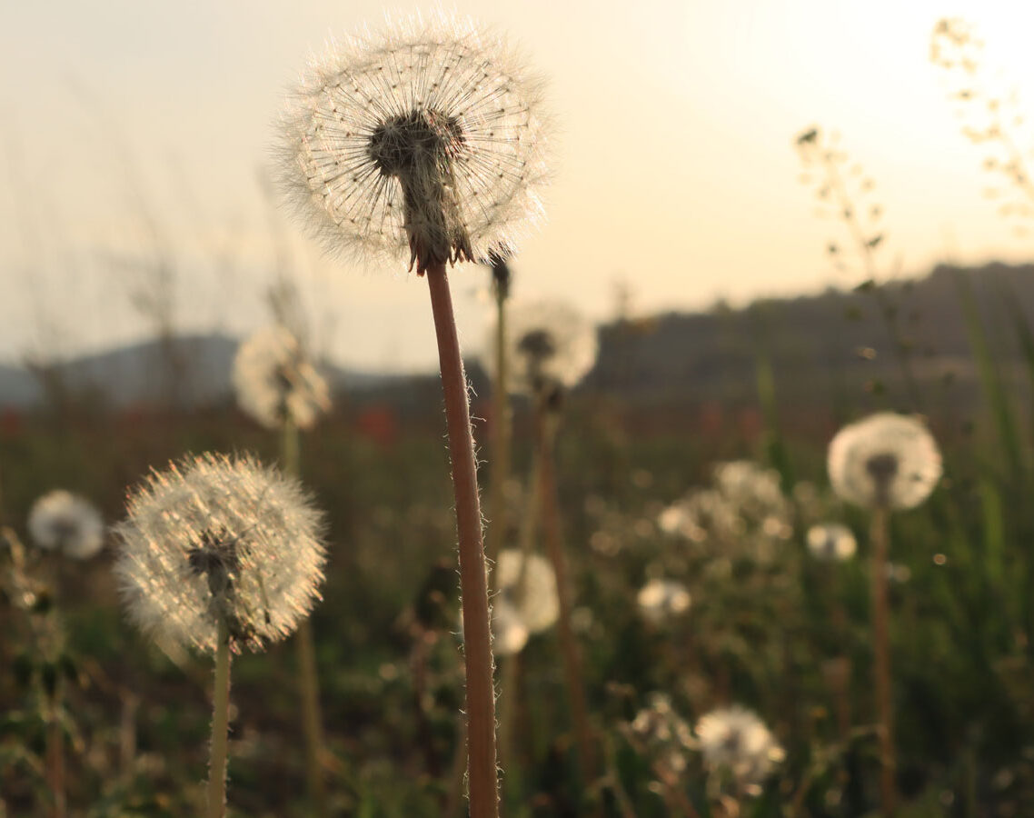 This skimming light by Hanno Cramer at Spillwords.com