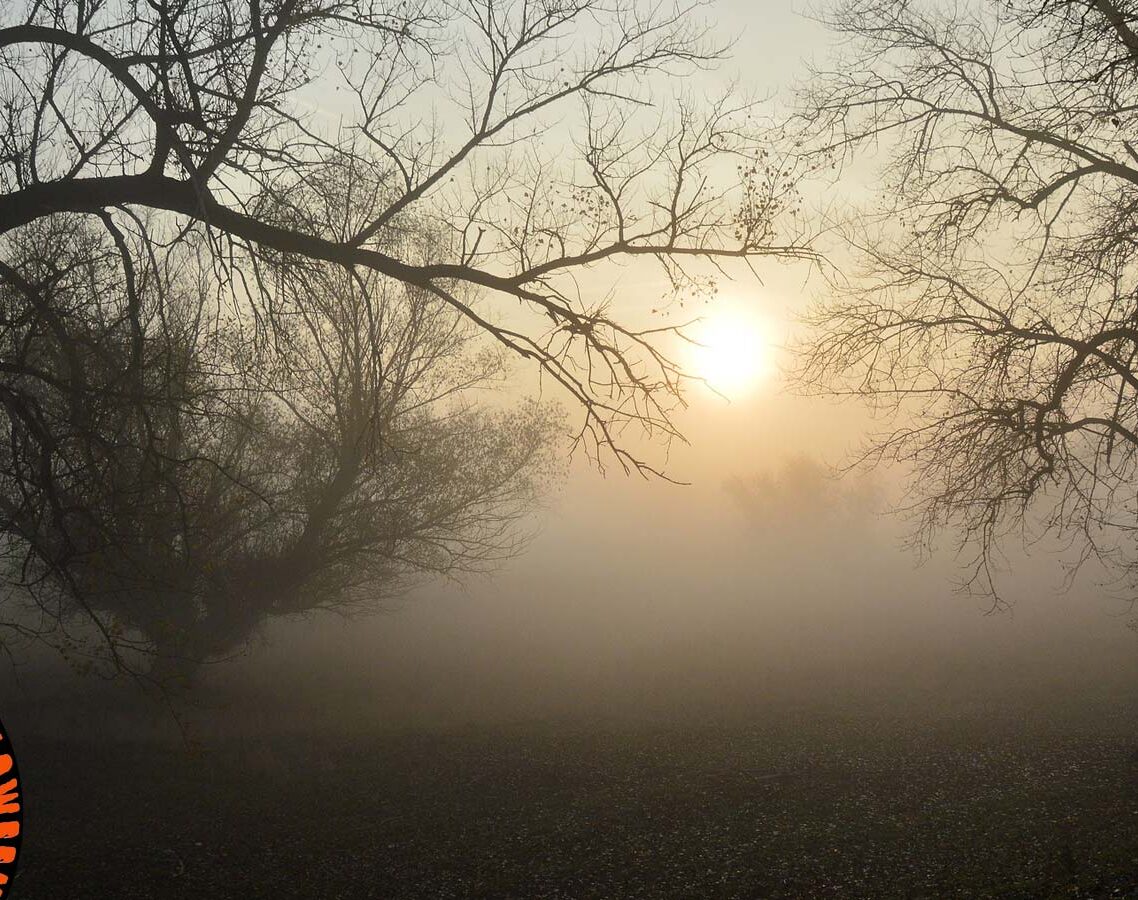 Go To The Grave by Nathaniel Hawthorne at Spillwords.com