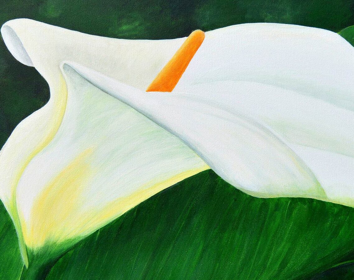 Pros of Prose written by Rob Clark at Spillwords.com