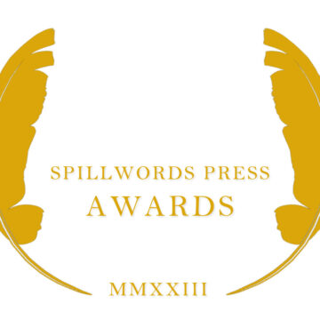 We The People by James Dean Collins at Spillwords.com