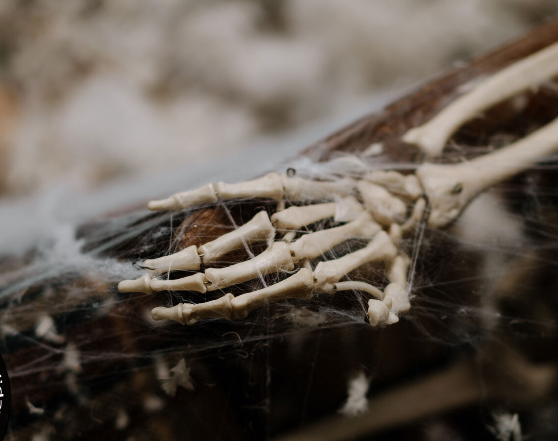 The Magpie, short story by Patrick McAteer at Spillwords.com