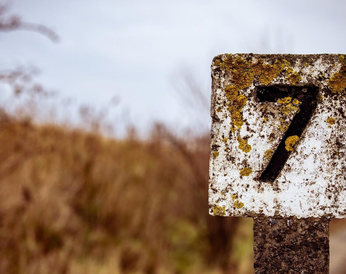 Blood Dust by Alison Vail Fuller at Spillwords.com