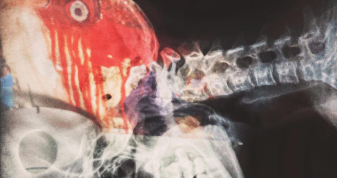 The Drained Brain, poetry by Alo Ayodeji at Spillwords.com