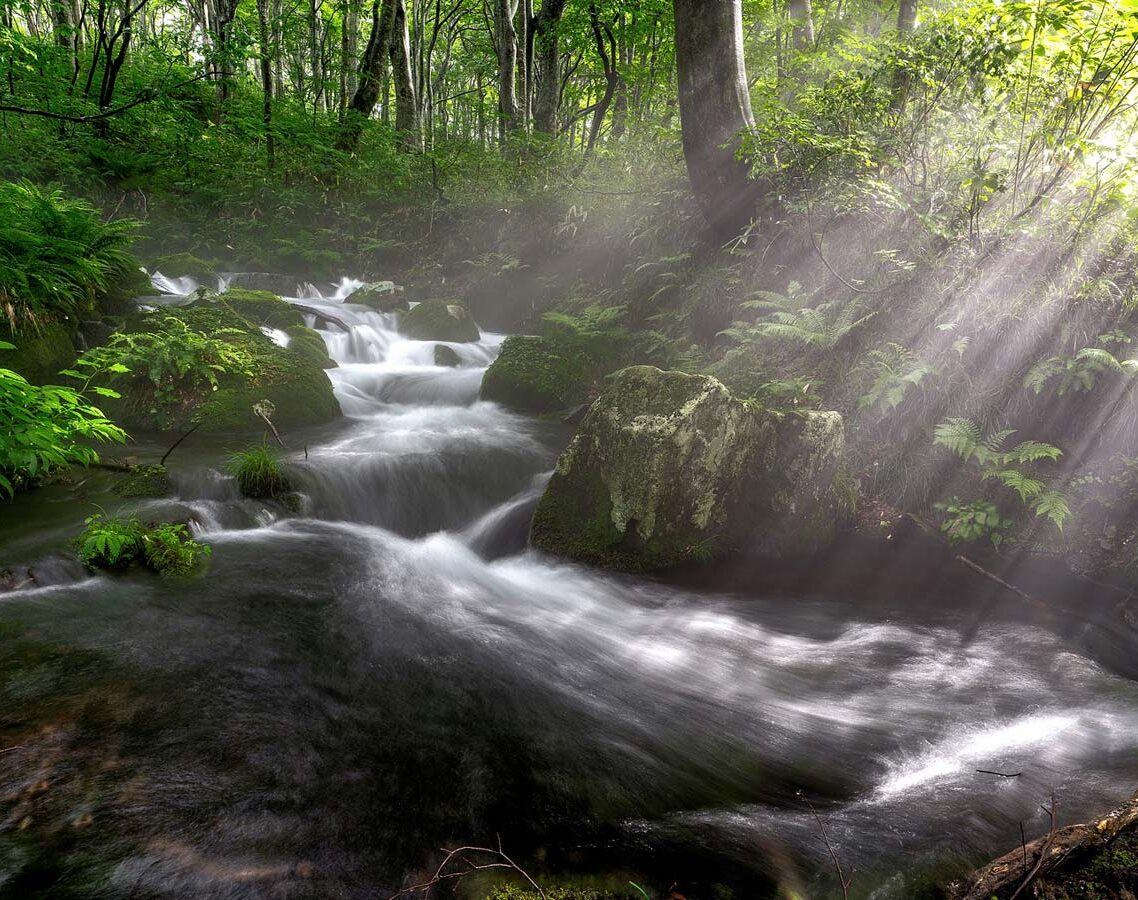 Not Now, poetry written by Debbie Hewson at Spillwords.com