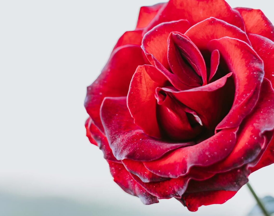 Tidal Wave written by L.M. Giannone at Spillwords.com