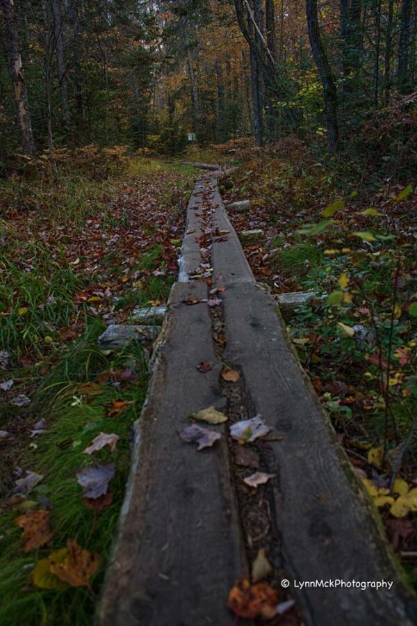 The Worn Path of Souls, poetry written by Glen Mckenzie at Spilwords.com