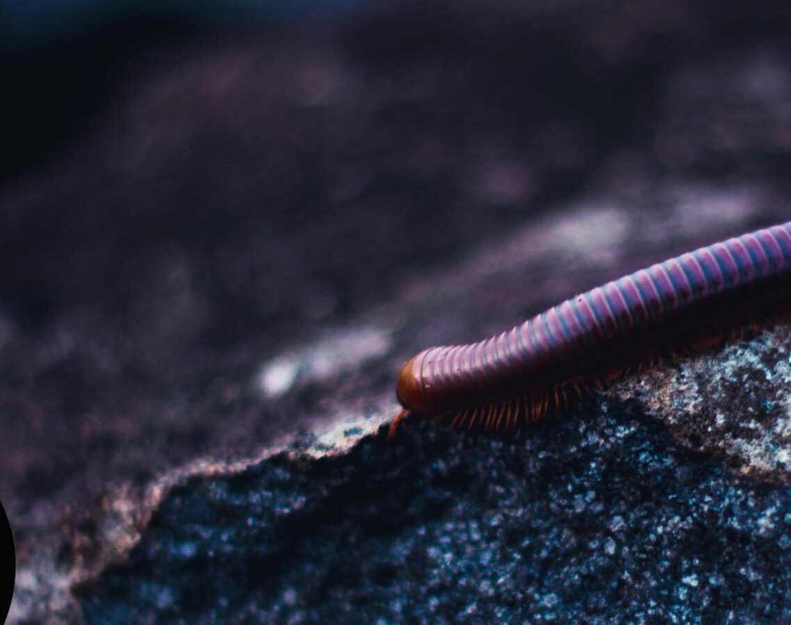 Pure Gold, a poem written by Lynn White at Spillwords.com