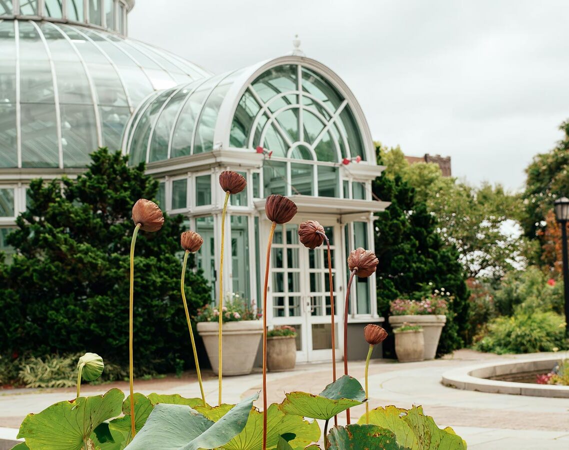 The Ideal Politician written by Stanley Wilkin at Spillwords.com