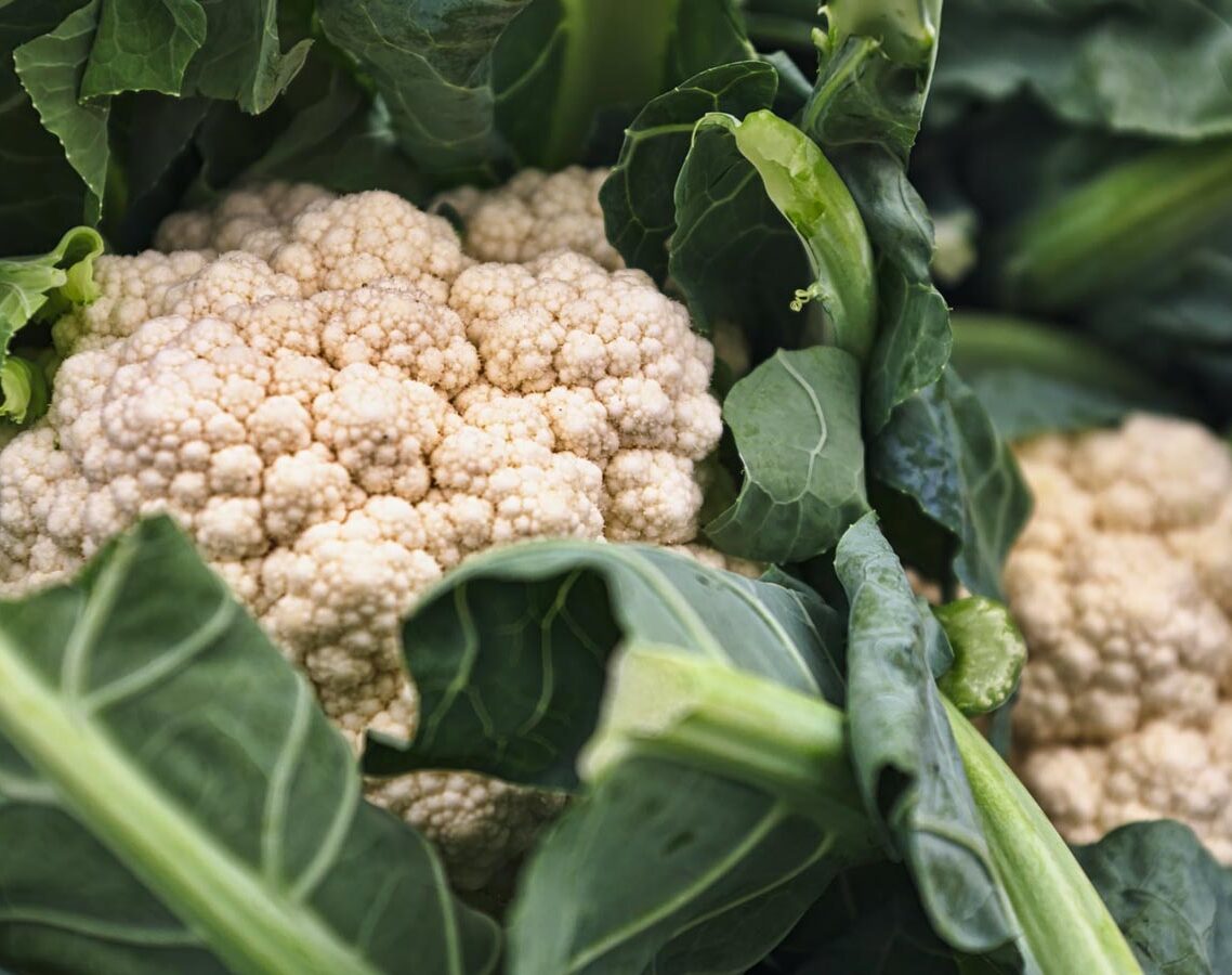 The Emancipation of a Mental State at Spillwords.com