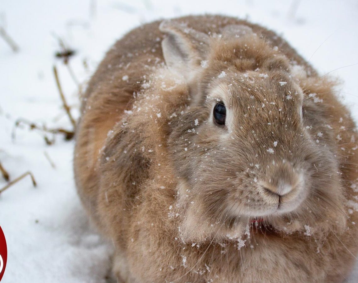 DEATH SPIRAL written by Rochelle Foles at Spillwords.com