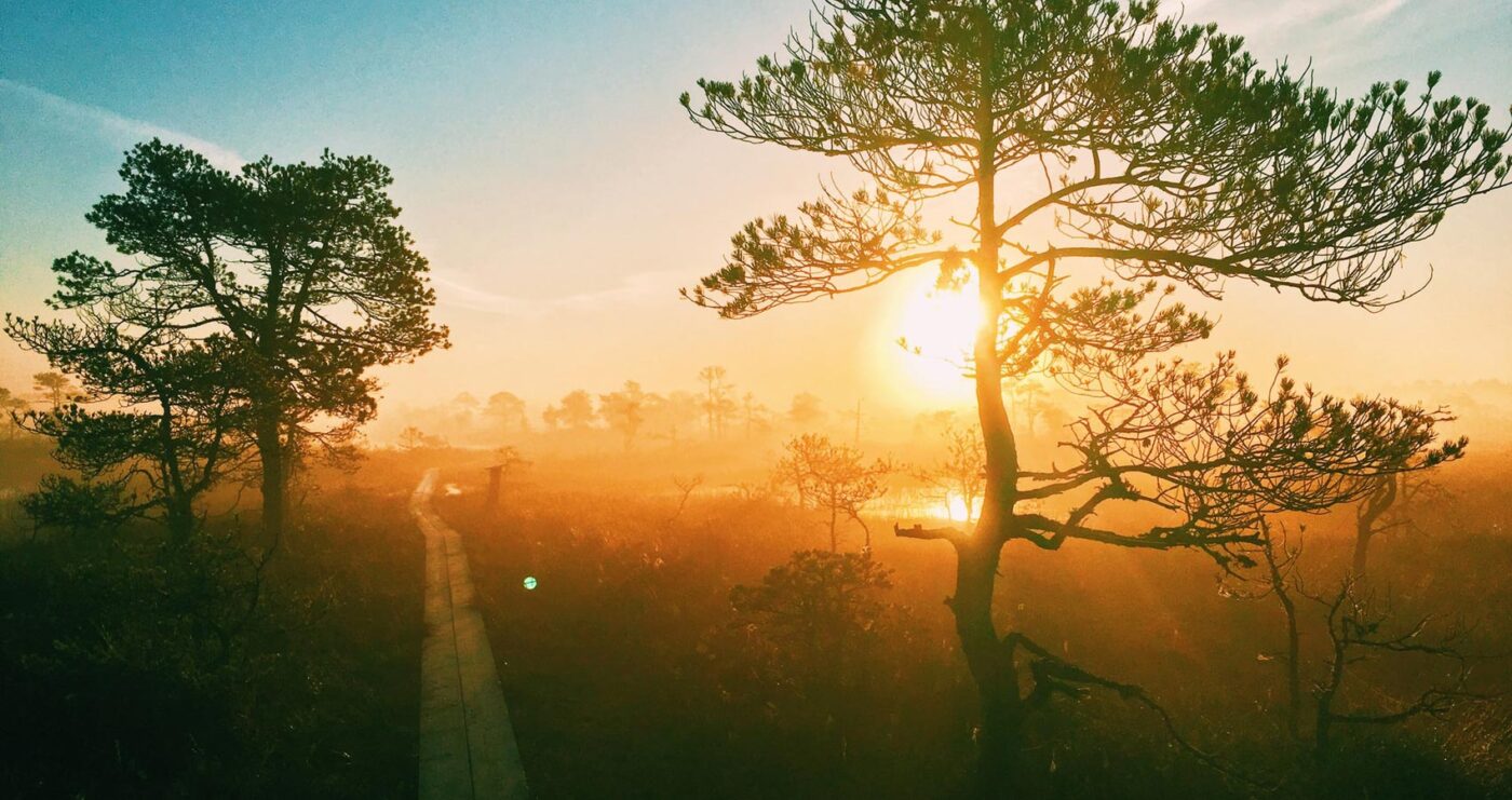 I Leave For You, poetry by Simona Prilogan at Spillwords.com