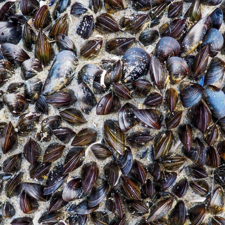 Fun Costumes written by Robyn MacKinnon at Spillwords.com