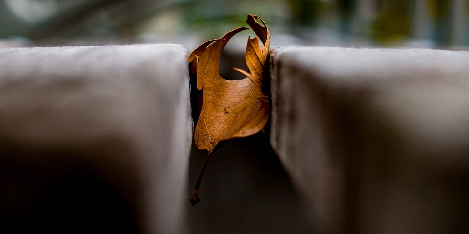 Spillwords - A Place for Readers and Writers, where Words Matter