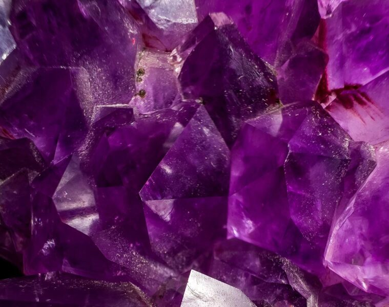 China Rose written by Nicole Doyle at Spillwords.com