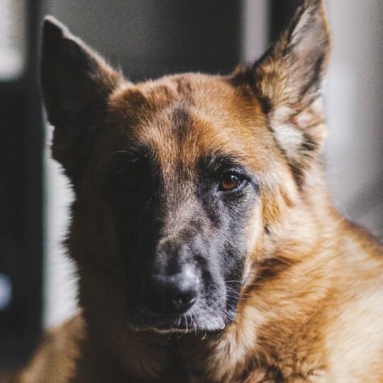 Life Game by Grace Zwane at Spillwords.com