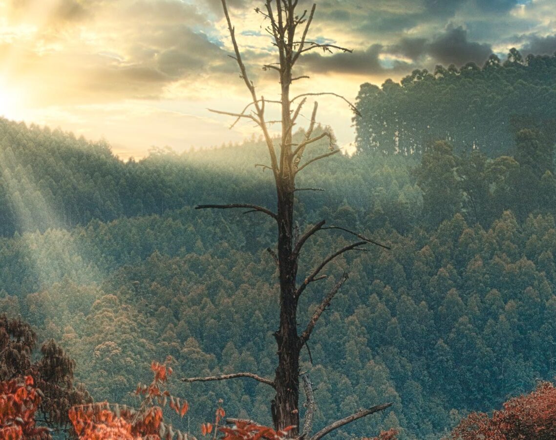 Travel (Direction Sign) by Nidhi Gupta at Spillwords.com