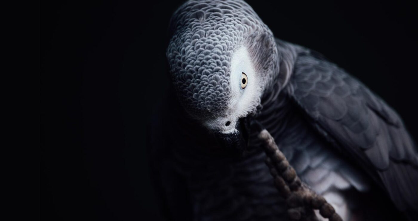 Benediction Temporalis (Temporal Blessing), poem at Spillwords.com