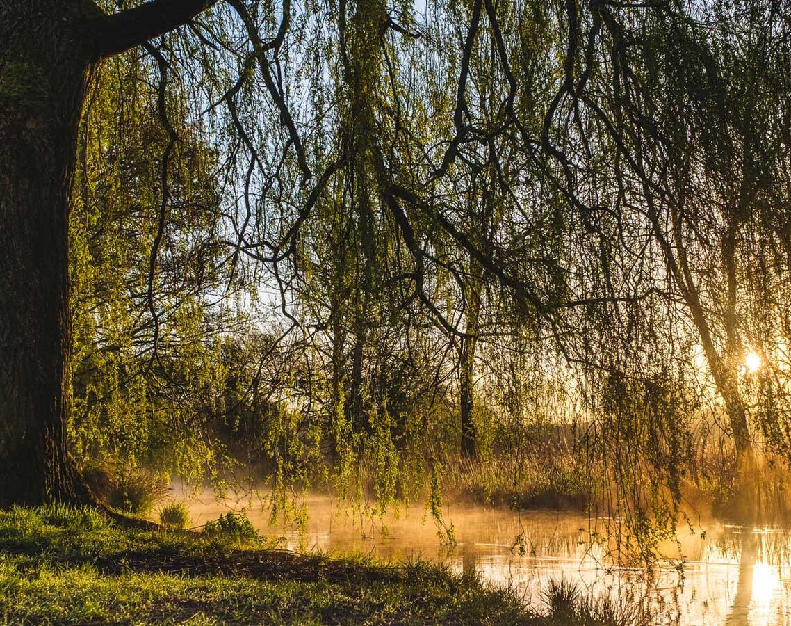 TFL Journey by Naima Mohamud Elmi at Spillwords.com