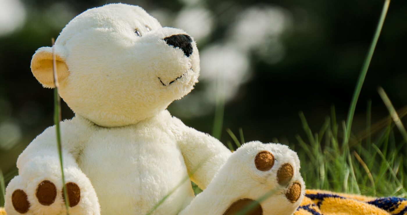 Defeated by The Polar Bear by Angela Creasy at Spillwords.com