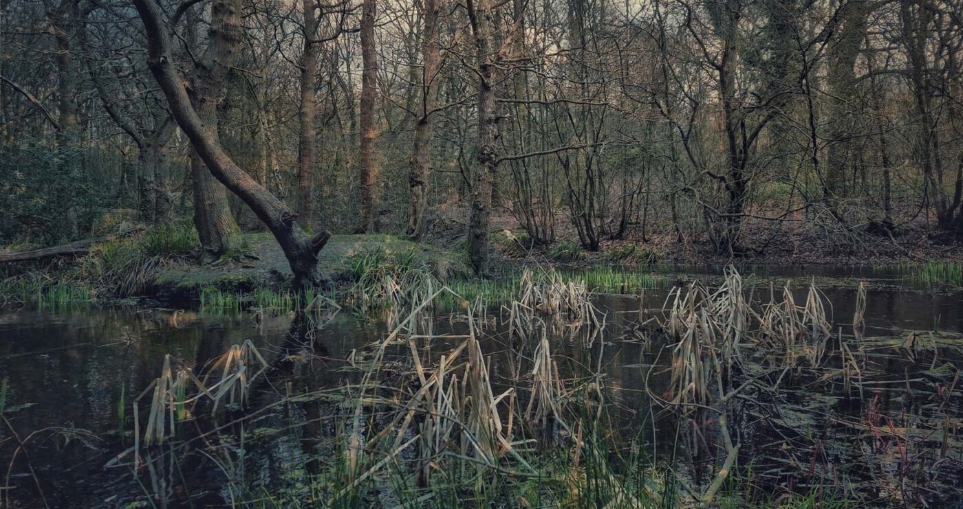 How Does it Feel? poetry by Cass Wilson at Spillwords.com