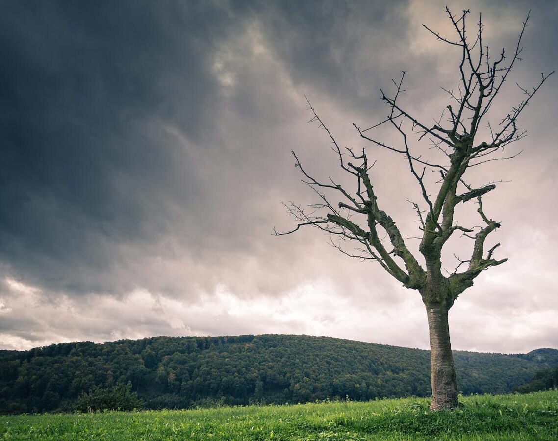 Sanity written by Sohinee Dey at Spillwords.com