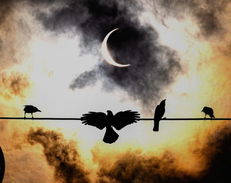 One Inch Tall by Shel Silverstein at Spillwords.com