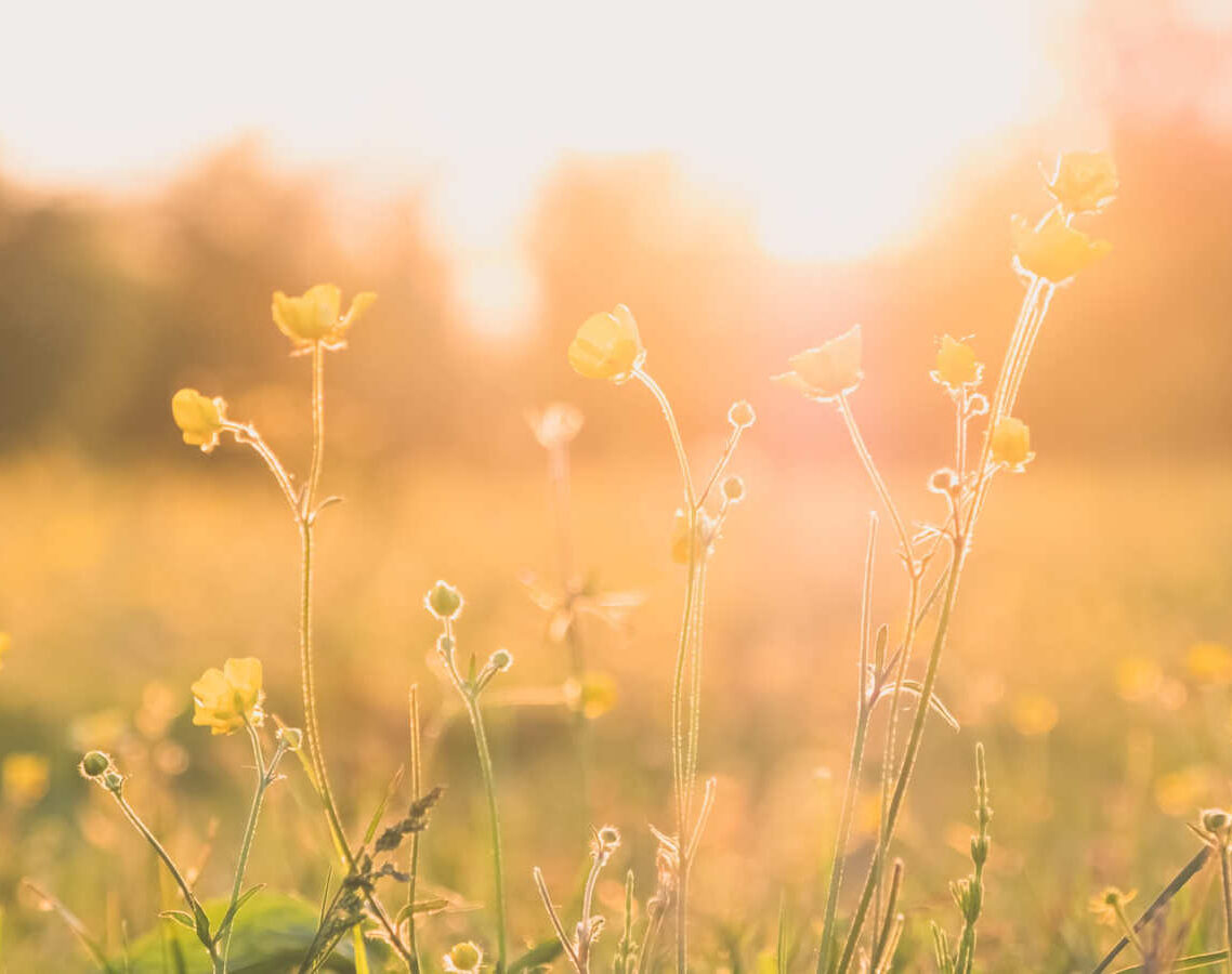 Dust To Dust by Harker Howard at Spillwords.com