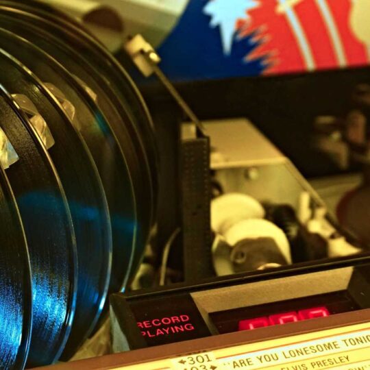 Wild Flower, micropoetry by Mdtaslim, a mining engineer at Spillwords.com