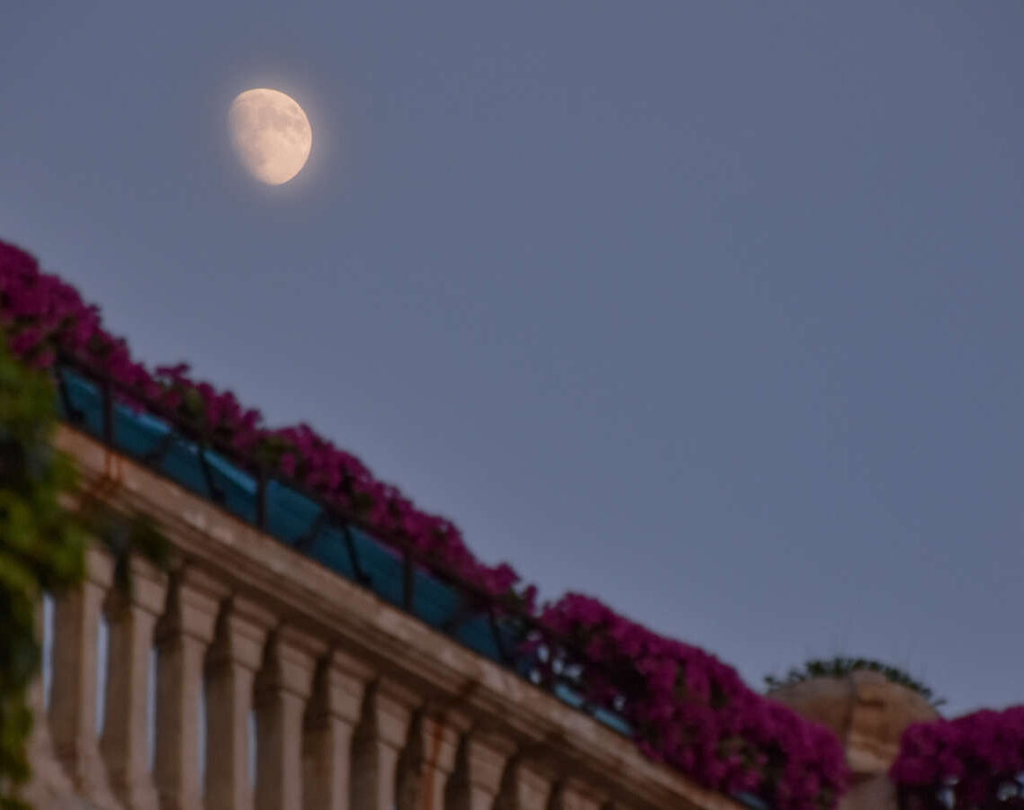 Creature written by Anne G at Spillwords.com