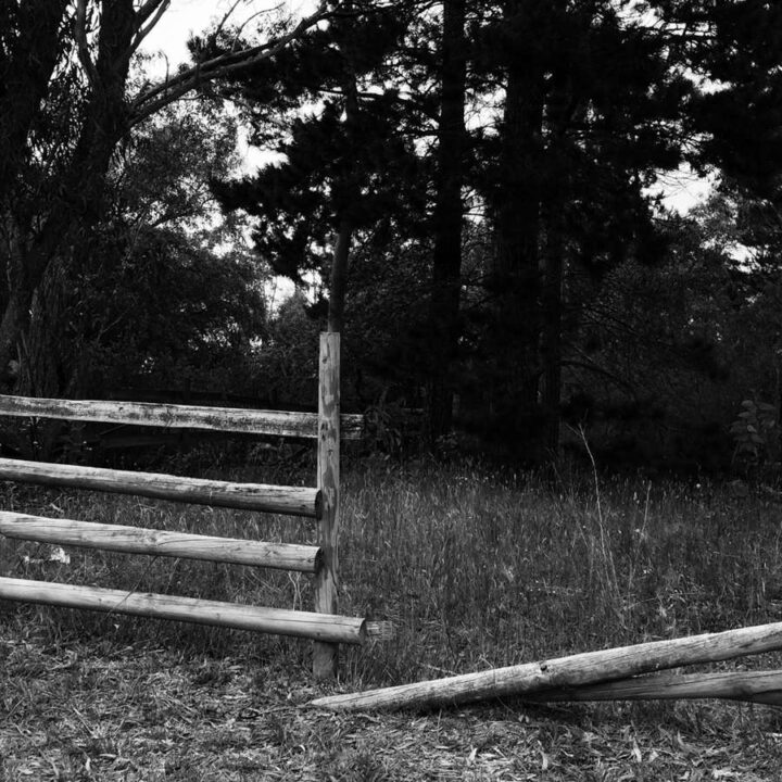 Did you forget to Dance? at Spillwords.com