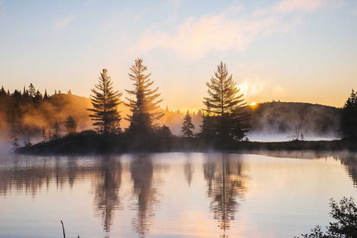 One Inch Tall by Shel Silverstein at Spillwords.com