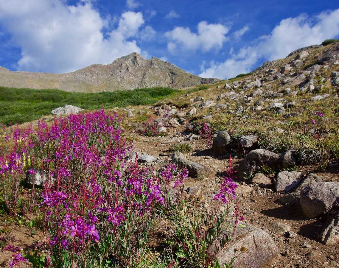 The Song of Belfast, a poem by Gaynor Kane at Spillwords.com