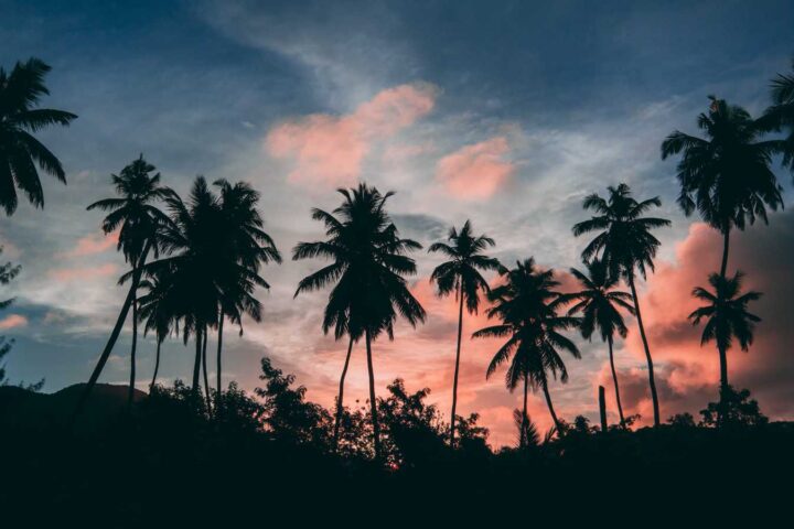 Mania written by Meghan Shultz at Spillwords.com