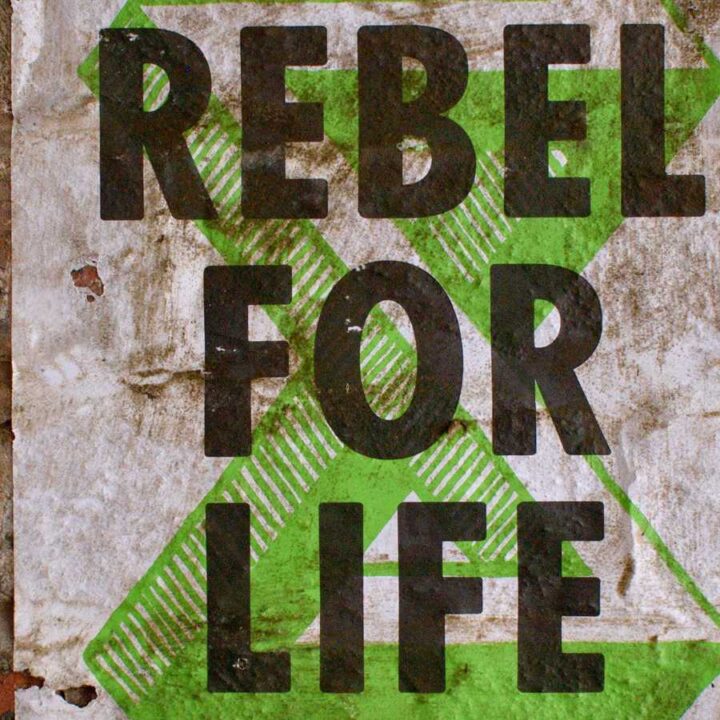 Mania written by Meghan Shultz at Spillwords.com